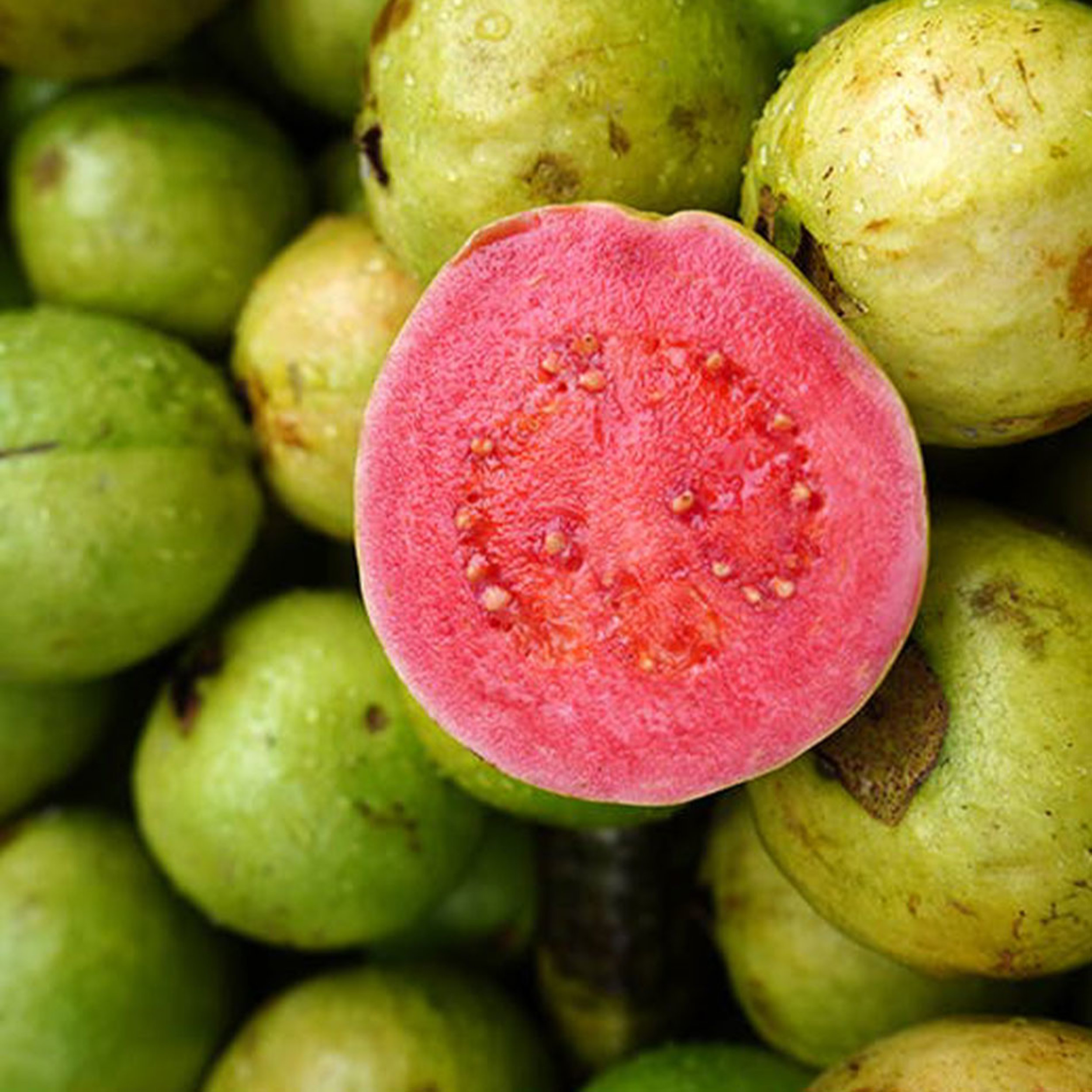 10 High-Protein Fruits To Eat Now