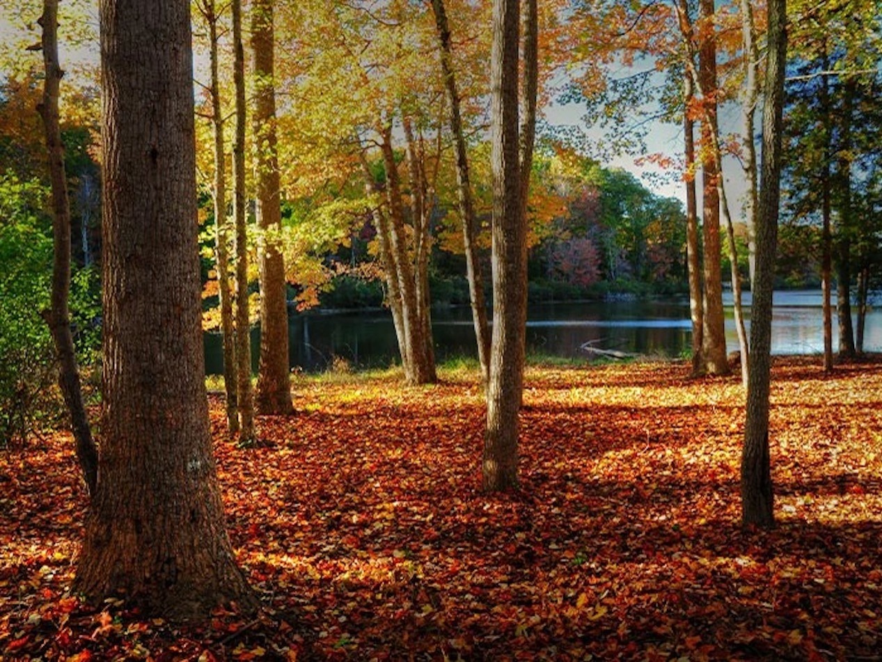 The 8 Most Charming Small Towns in Virginia