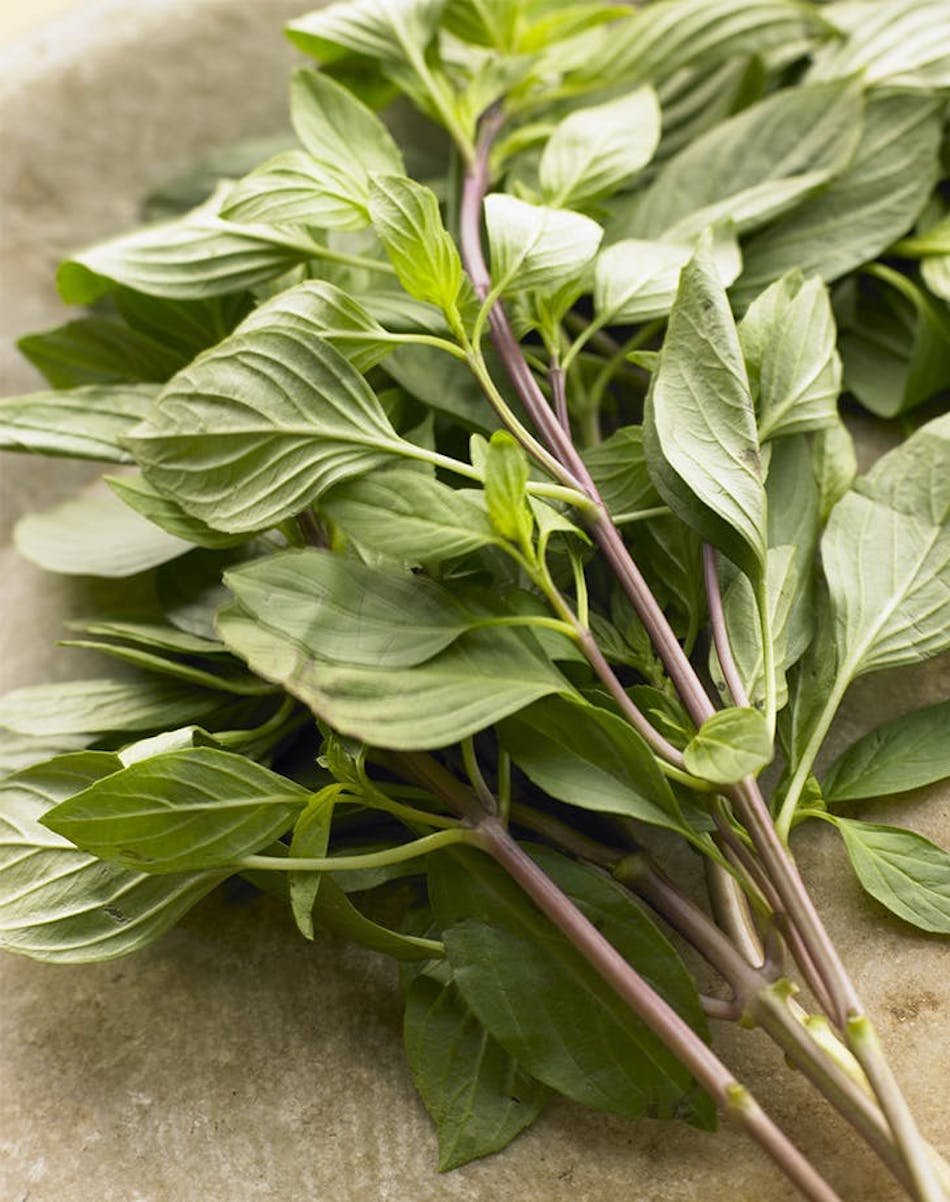 10 Types of Herbs (and How to Cook With Them)