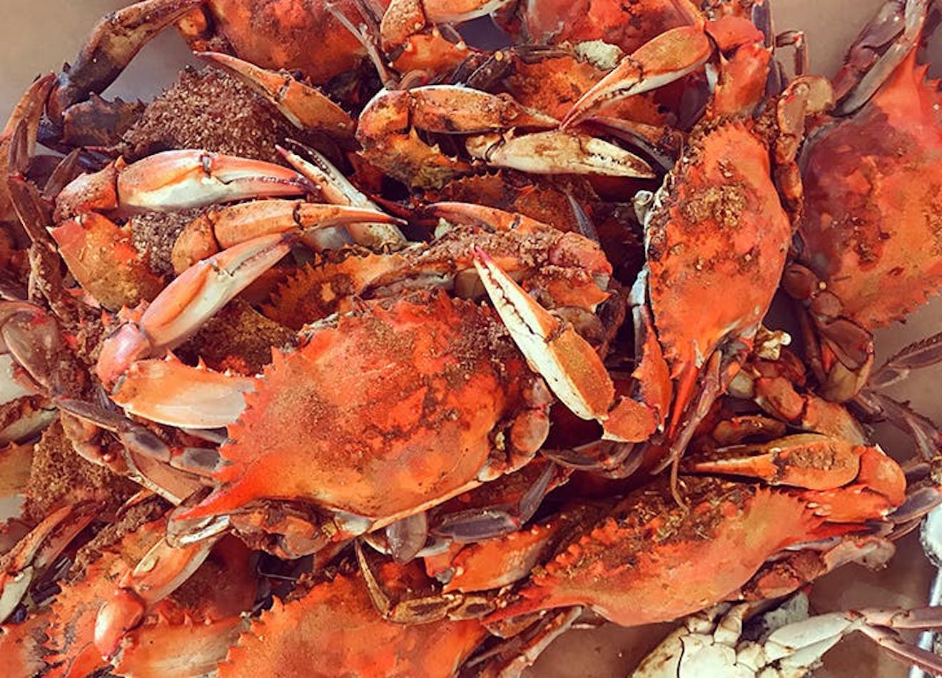 9 Types of Shellfish